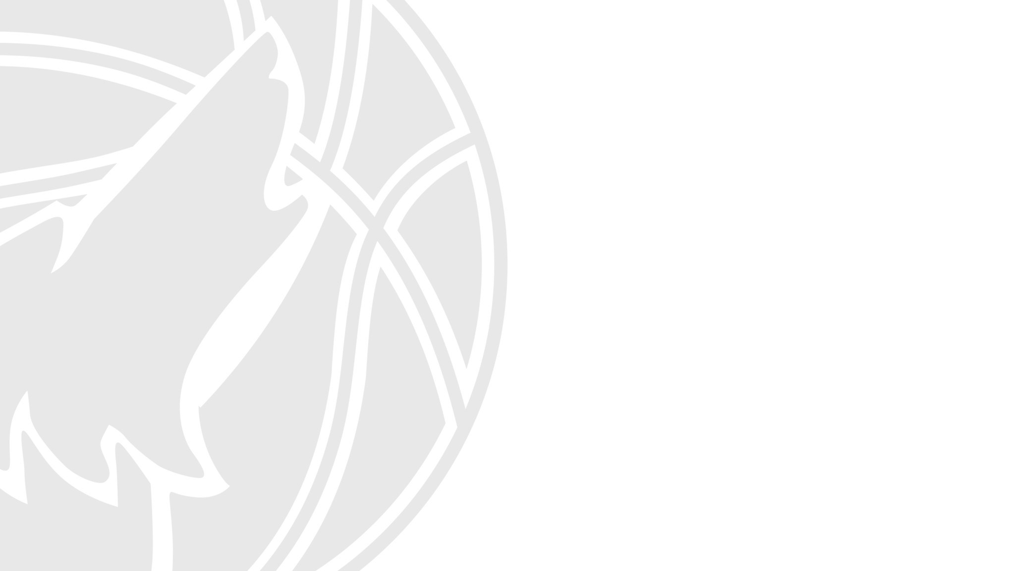 Kontakt - White Wolves Passau Basketball